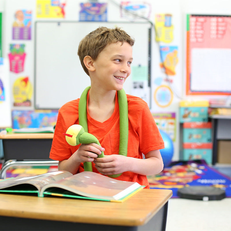 Creating a Sensory-Friendly Classroom: Simple Steps for Big Impact ...