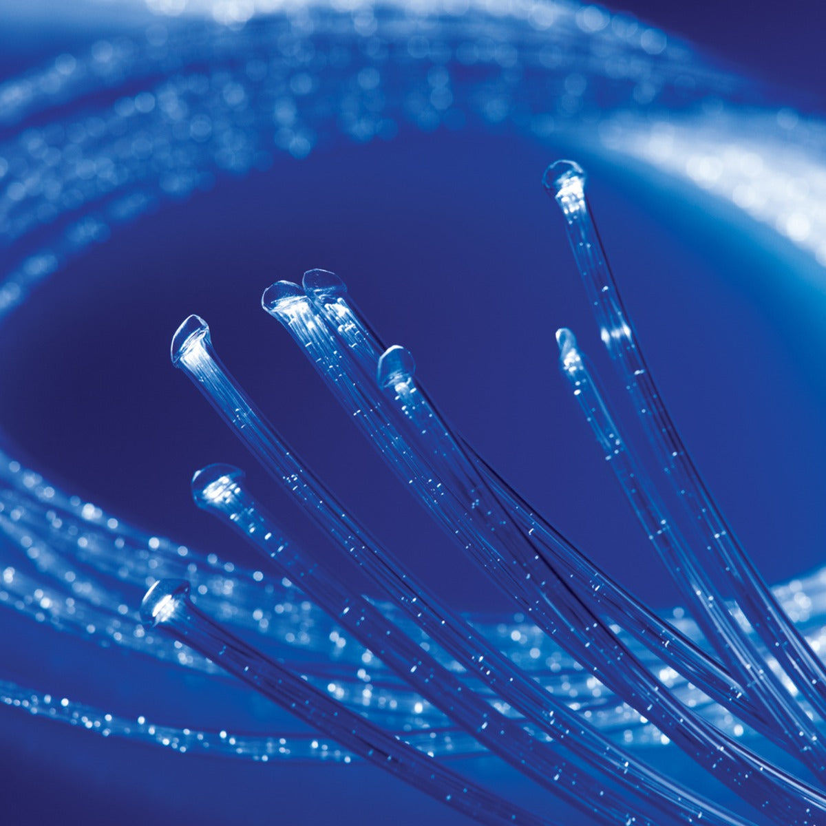 Fiber Optic Jellyfish | Fun & Function