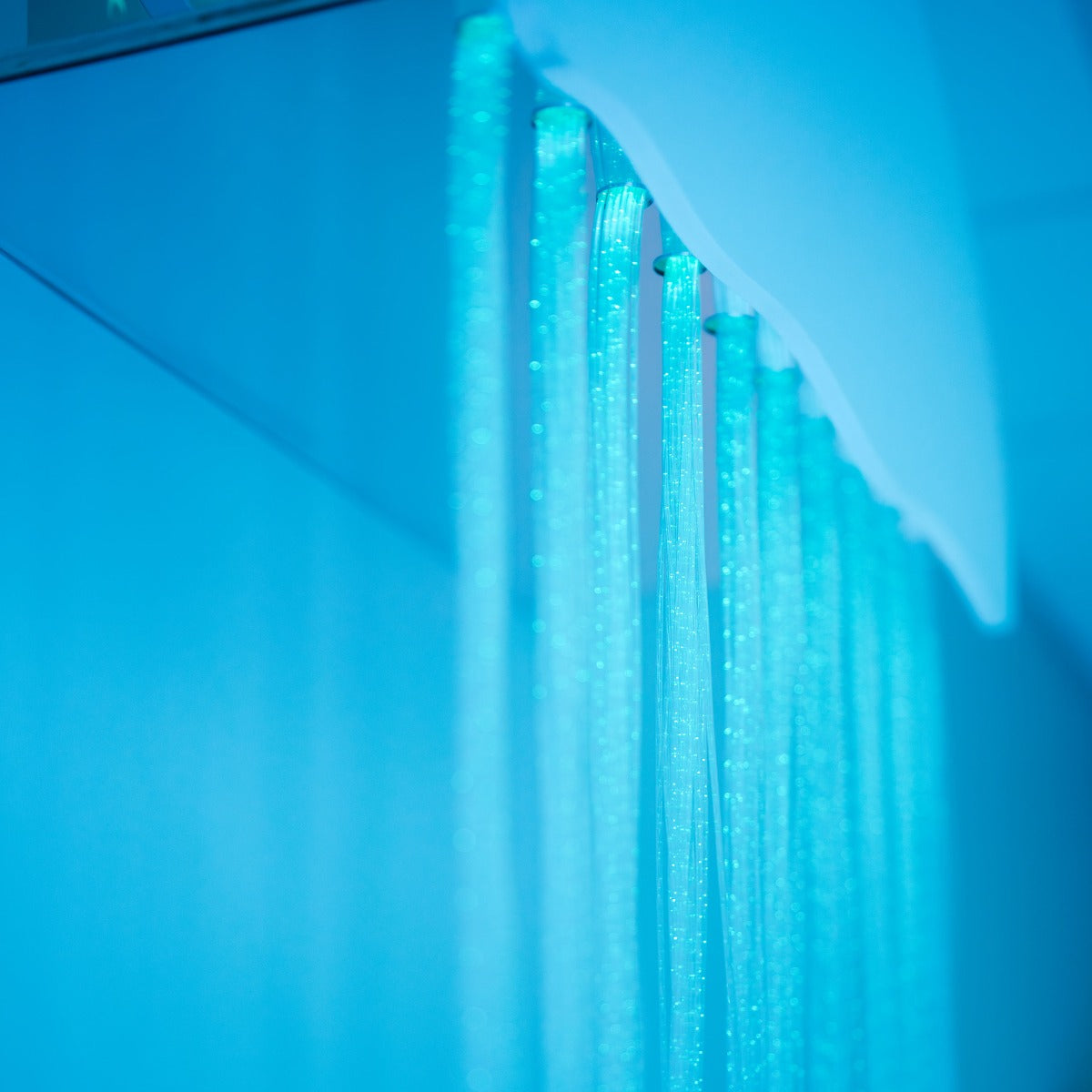 Fiber Optic Jellyfish | Fun & Function